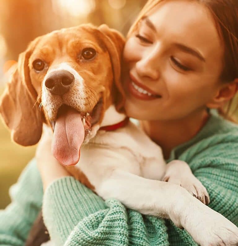 5 dicas para quem ama pets | Blog da Vanguard
