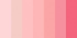 Decoração com rosa: uma cor versátil para o seu apartamento